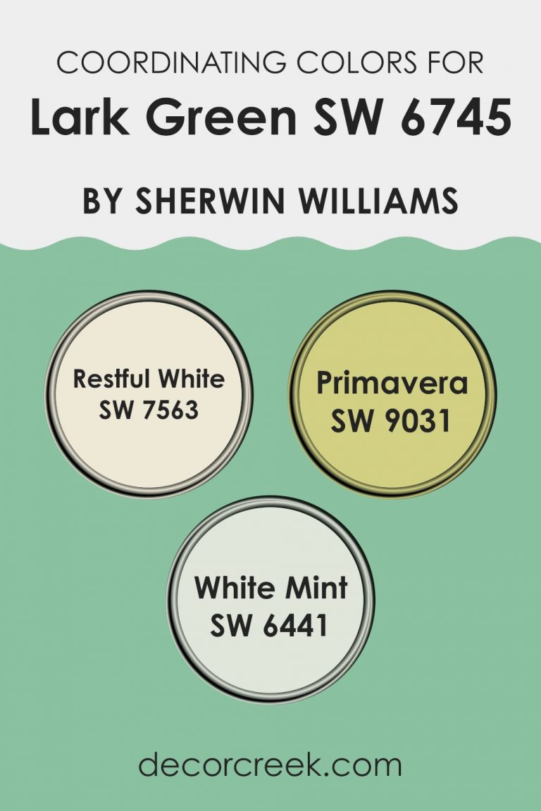 Lark Green SW 6745 Paint Color by Sherwin Williams - DecorCreek
