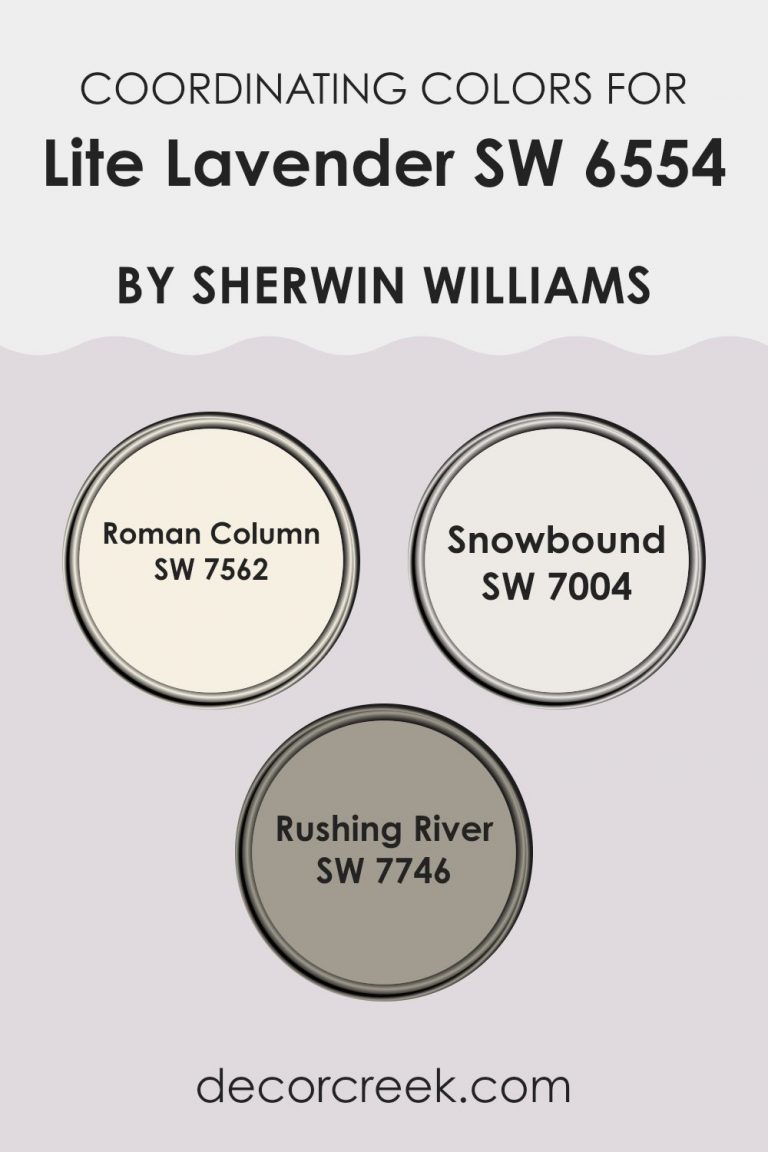 Lite Lavender SW 6554 Paint Color by Sherwin Williams - DecorCreek