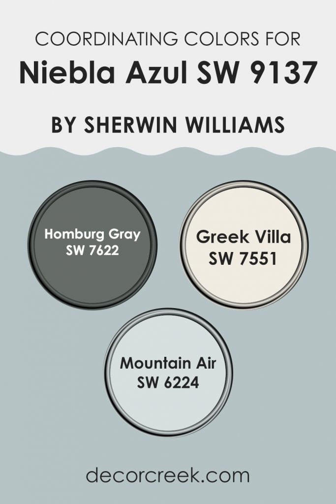 Niebla Azul SW 9137 Paint Color by Sherwin Williams - DecorCreek