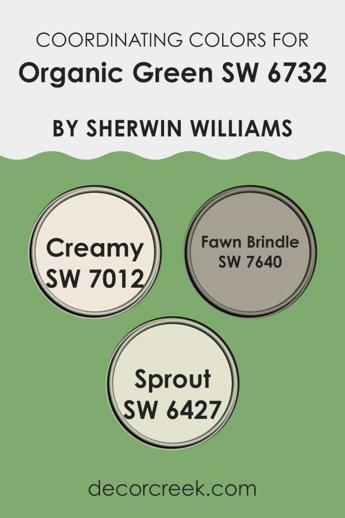 Organic Green SW 6732 Paint Color by Sherwin Williams - DecorCreek