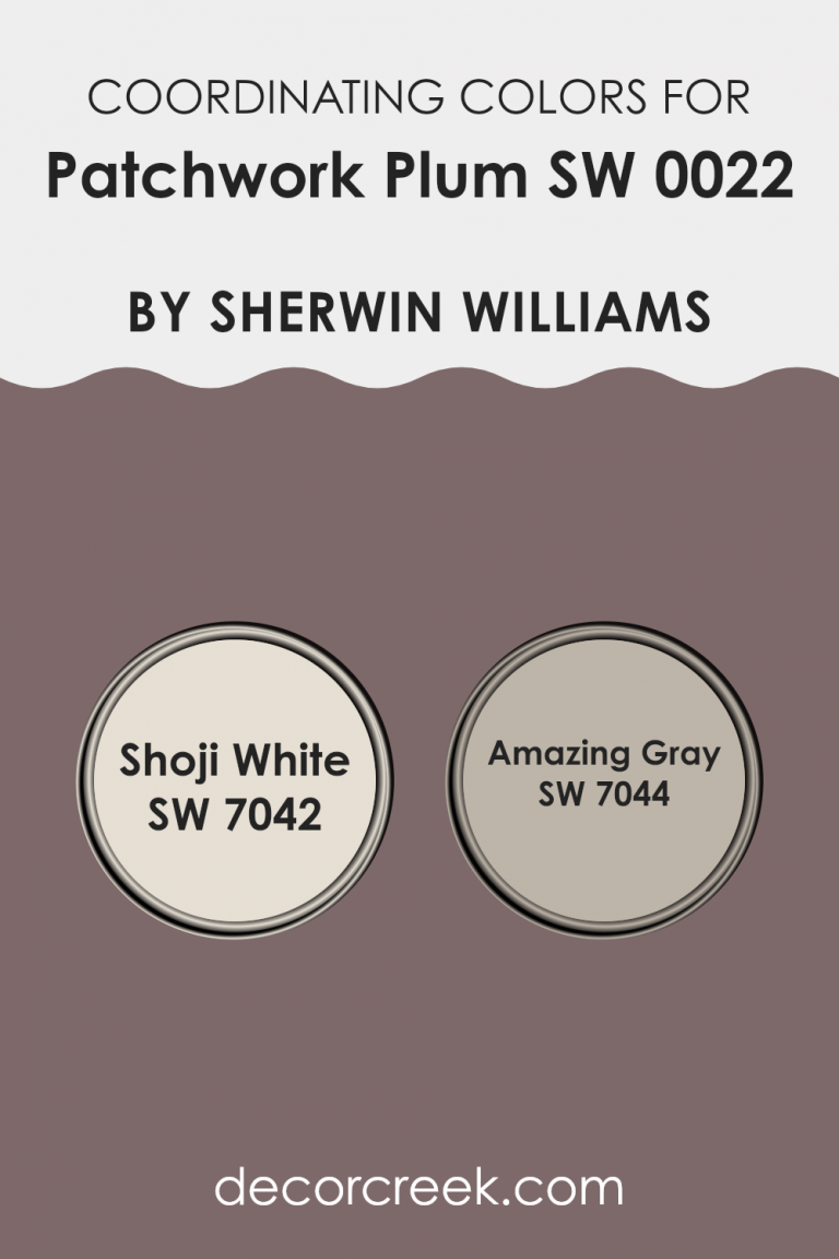 Patchwork Plum SW 0022 Paint Color by Sherwin Williams - DecorCreek