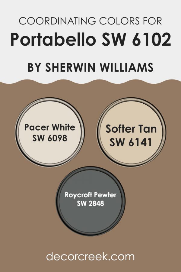 Portabello SW 6102 Paint Color by Sherwin Williams - DecorCreek