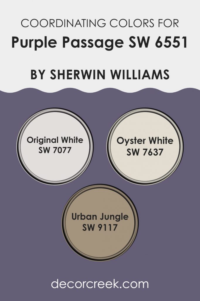 Purple Passage SW 6551 Paint Color by Sherwin Williams - DecorCreek
