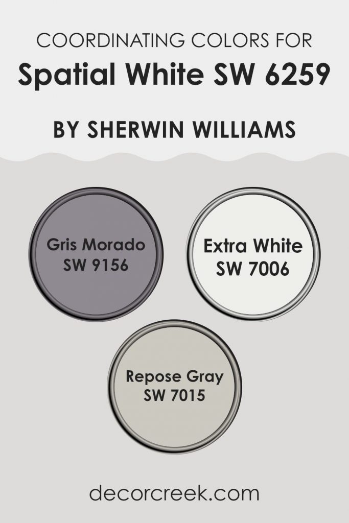 Spatial White SW 6259 Paint Color by Sherwin Williams - DecorCreek