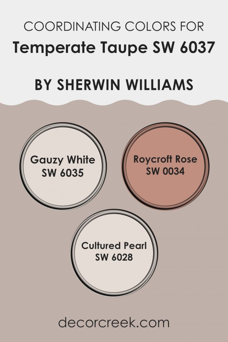 Temperate Taupe SW 6037 Paint Color by Sherwin Williams - DecorCreek