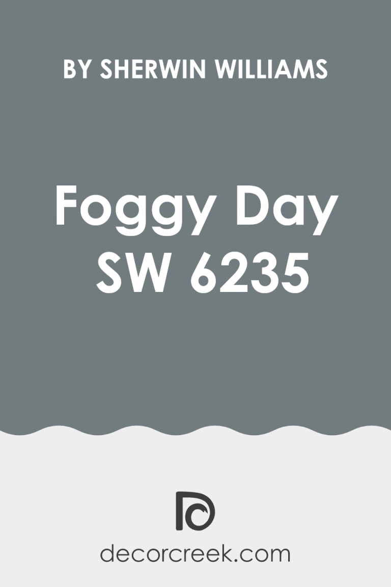 Foggy Day SW 6235 Paint Color by Sherwin Williams - DecorCreek