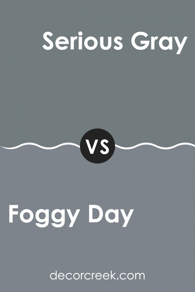 Foggy Day SW 6235 Paint Color by Sherwin Williams - DecorCreek