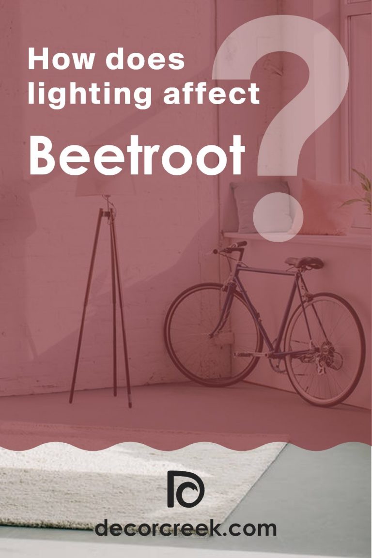 Beetroot SW 9695 Paint Color by Sherwin Williams - DecorCreek