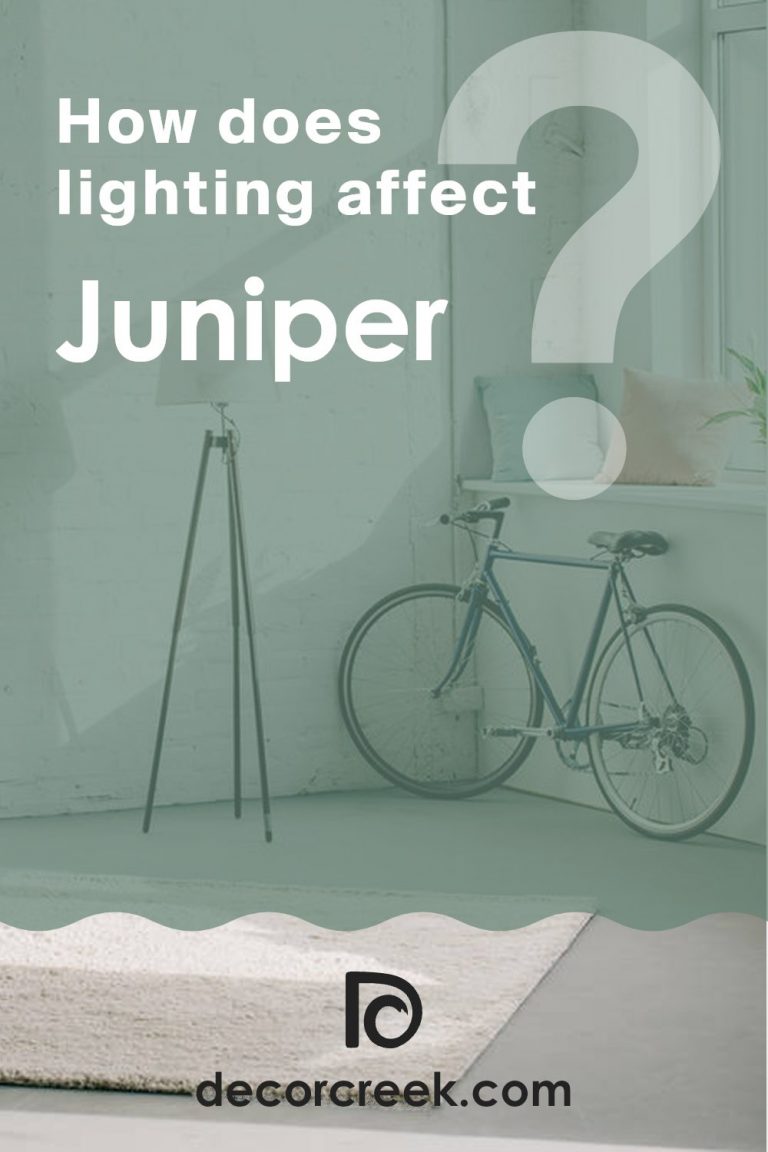 Juniper SW 9679 Paint Color by Sherwin Williams - DecorCreek