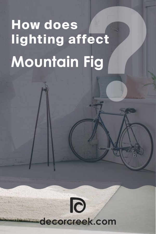 Mountain Fig SW 9690 Paint Color by Sherwin Williams - DecorCreek