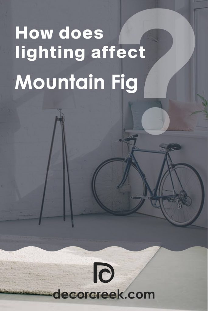 Mountain Fig SW 9690 Paint Color by Sherwin Williams - DecorCreek