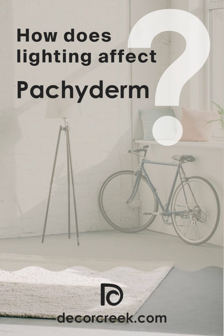 Pachyderm SW 9596 Paint Color by Sherwin Williams - DecorCreek