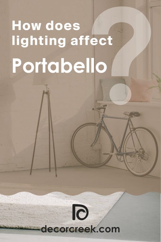 Portabello SW 6102 Paint Color by Sherwin Williams - DecorCreek