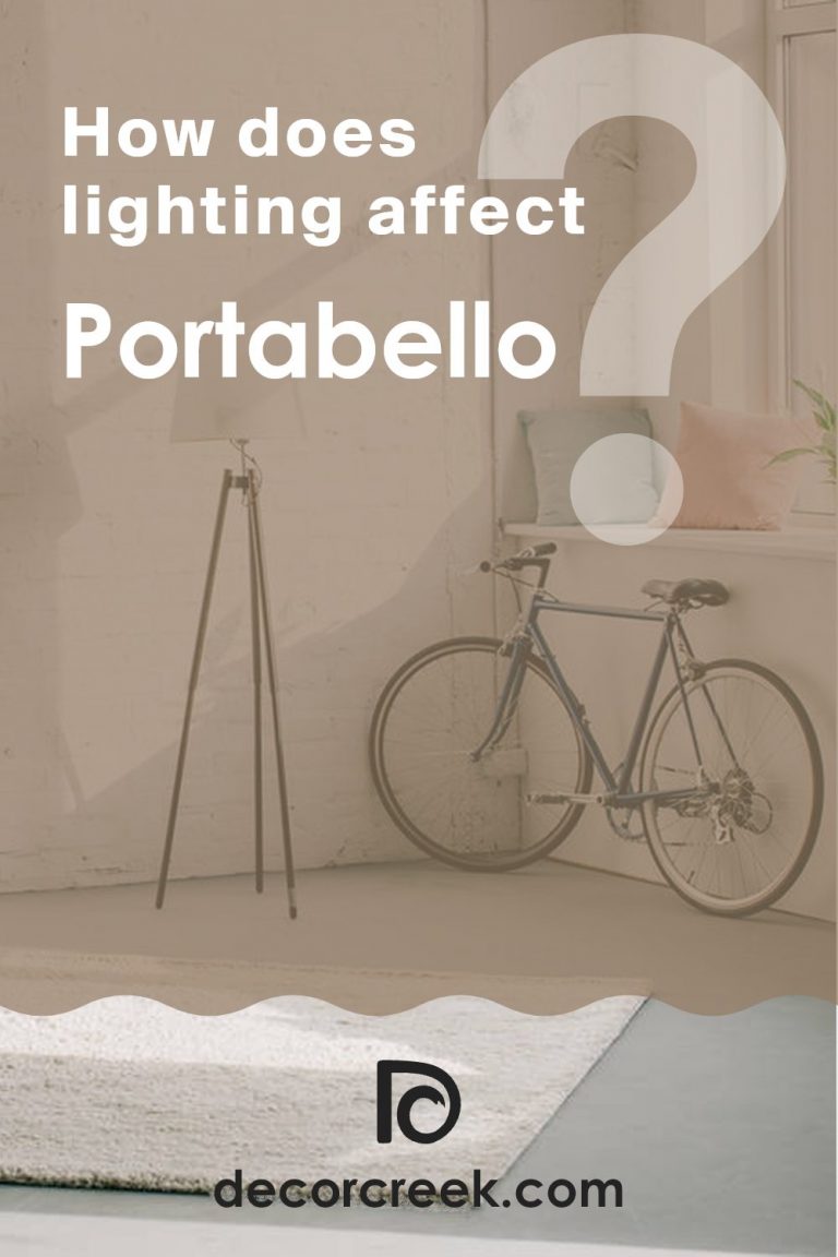 Portabello SW 6102 Paint Color by Sherwin Williams - DecorCreek