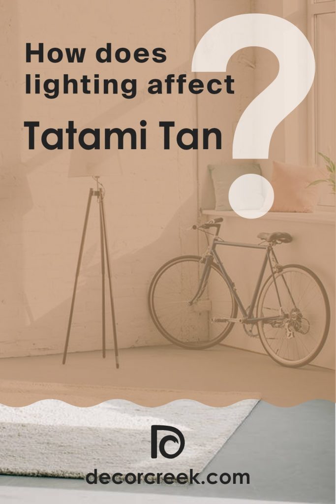 Tatami Tan SW 6116 Paint Color by Sherwin Williams - DecorCreek