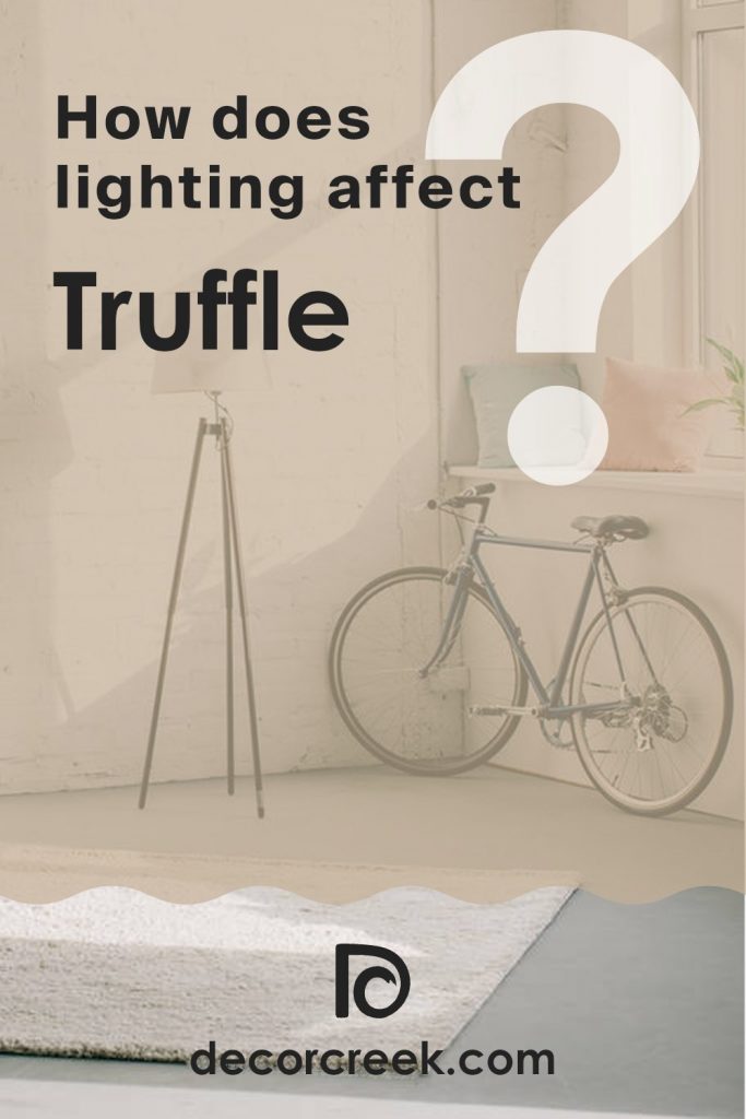 Truffle AF-130 Paint Color by Benjamin Moore - DecorCreek