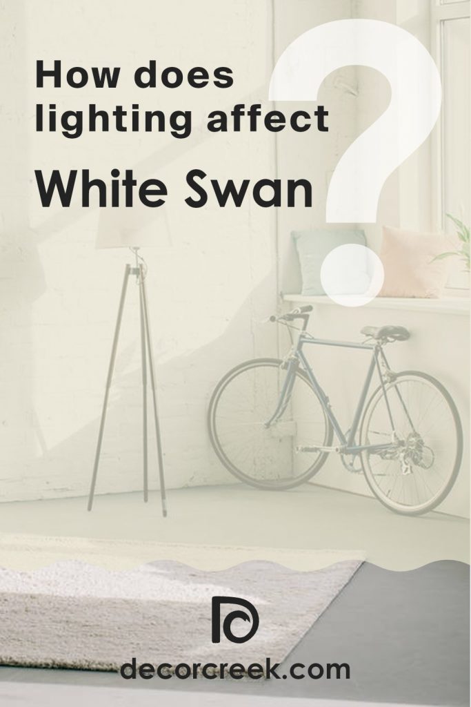 White Swan 927 Paint Color by Benjamin Moore - DecorCreek