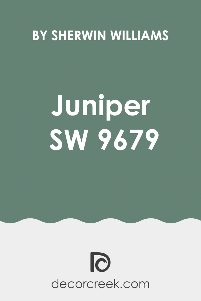 Juniper SW 9679 Paint Color by Sherwin Williams - DecorCreek