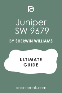 Juniper SW 9679 Paint Color by Sherwin Williams - DecorCreek
