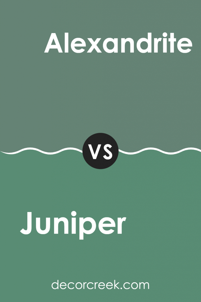 Juniper SW 9679 Paint Color by Sherwin Williams - DecorCreek