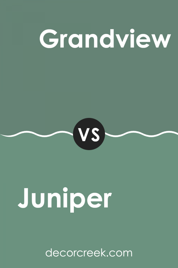 Juniper SW 9679 Paint Color by Sherwin Williams - DecorCreek