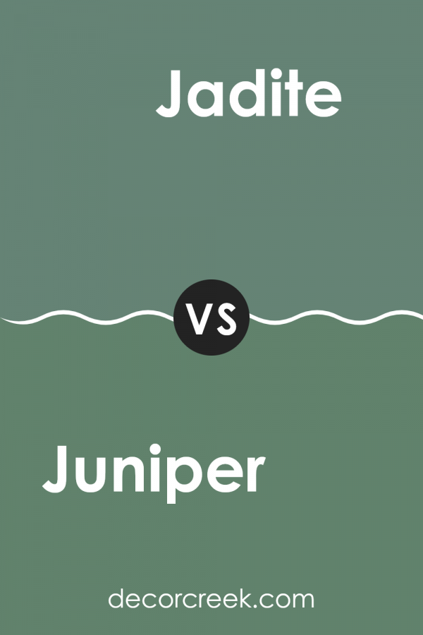 Juniper SW 9679 Paint Color by Sherwin Williams - DecorCreek