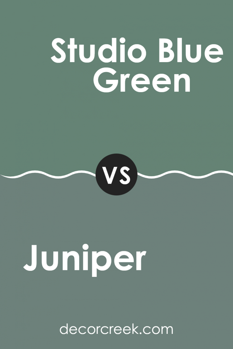 Juniper SW 9679 Paint Color by Sherwin Williams - DecorCreek