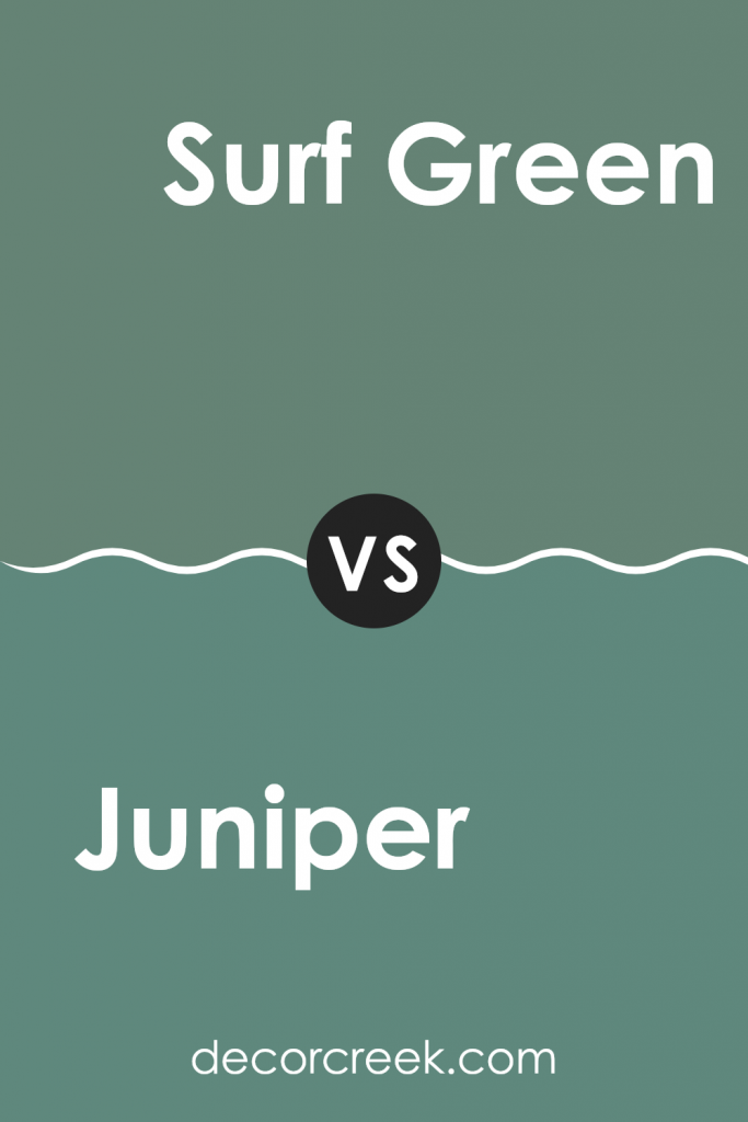 Juniper SW 9679 Paint Color by Sherwin Williams - DecorCreek