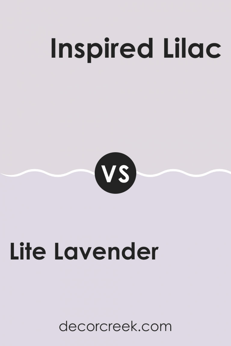 Lite Lavender SW 6554 Paint Color by Sherwin Williams - DecorCreek