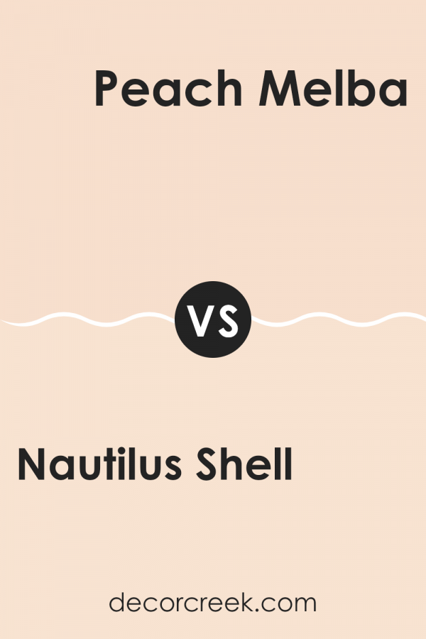 Nautilus Shell 064 Paint Color by Benjamin Moore - DecorCreek