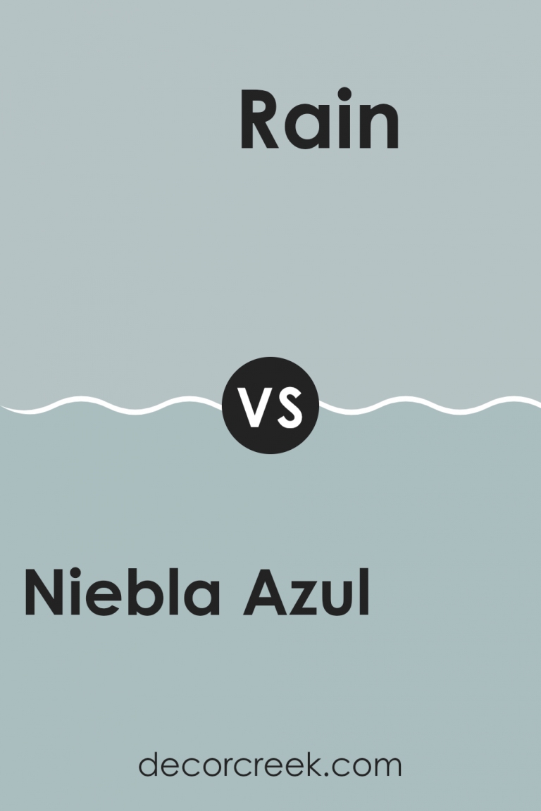 Niebla Azul SW 9137 Paint Color by Sherwin Williams - DecorCreek