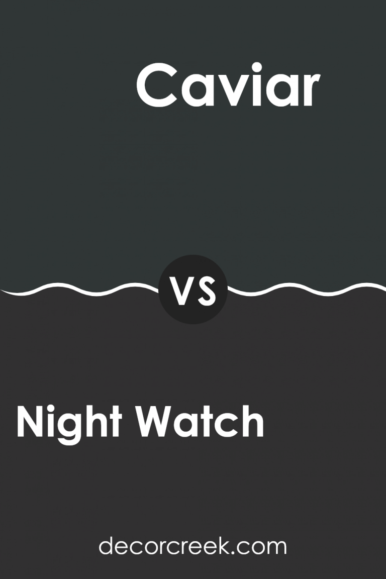 Night Watch SW 9680 Paint Color by Sherwin Williams - DecorCreek