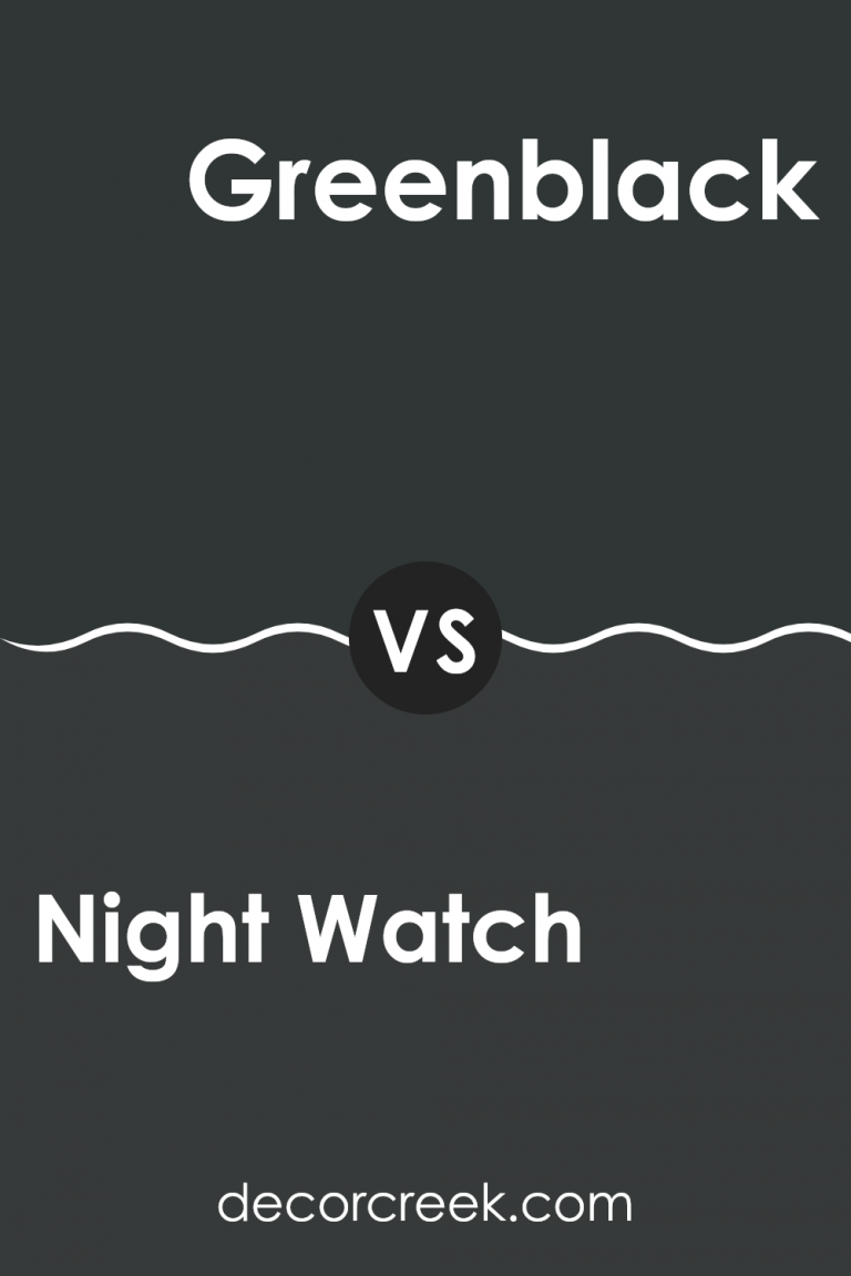 Night Watch SW 9680 Paint Color by Sherwin Williams - DecorCreek