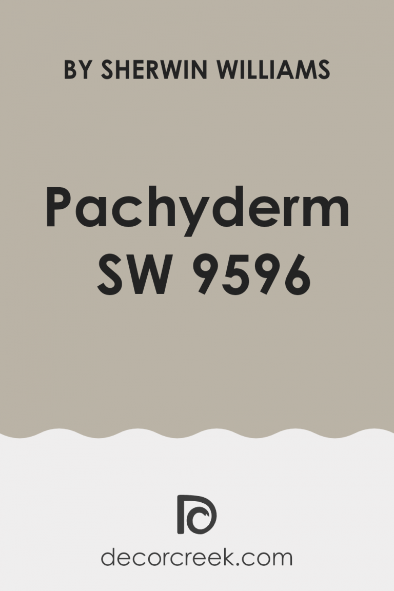 Pachyderm SW 9596 Paint Color by Sherwin Williams - DecorCreek