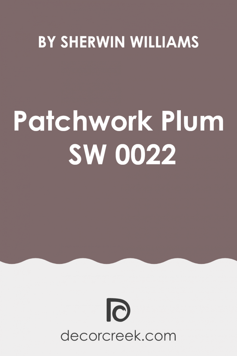 Patchwork Plum SW 0022 Paint Color by Sherwin Williams - DecorCreek