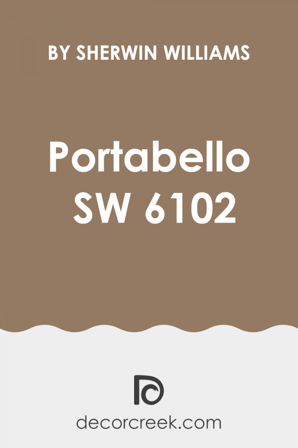 Portabello SW 6102 Paint Color by Sherwin Williams - DecorCreek