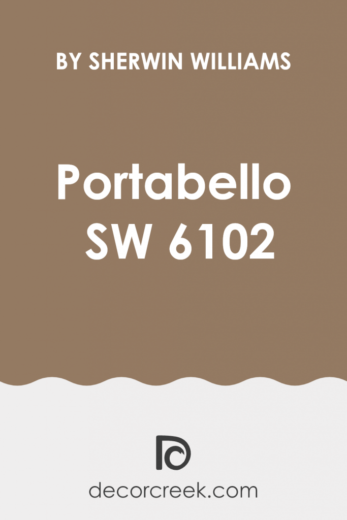 Portabello SW 6102 Paint Color by Sherwin Williams - DecorCreek