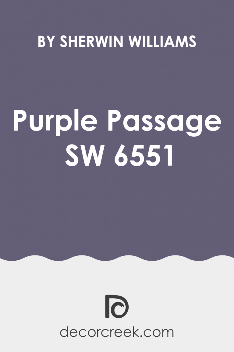 Purple Passage SW 6551 Paint Color by Sherwin Williams - DecorCreek