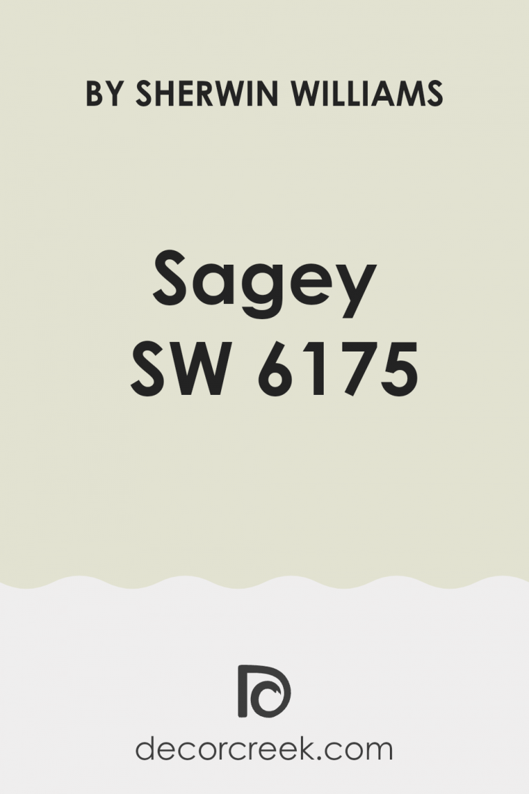 Sagey SW 6175 Paint Color by Sherwin Williams - DecorCreek