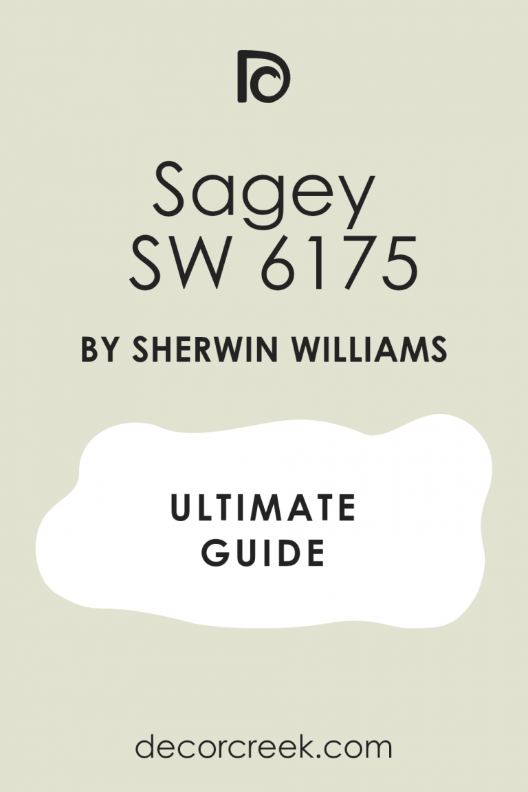 Sagey SW 6175 Paint Color by Sherwin Williams - DecorCreek