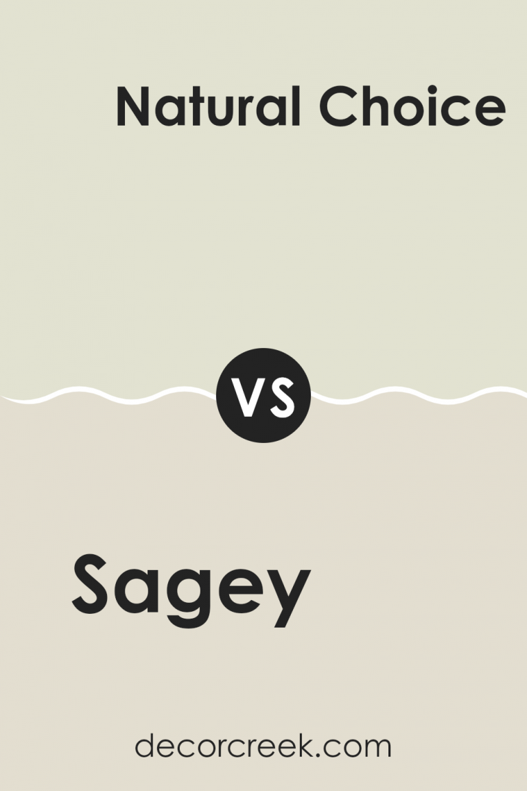 Sagey SW 6175 Paint Color by Sherwin Williams - DecorCreek