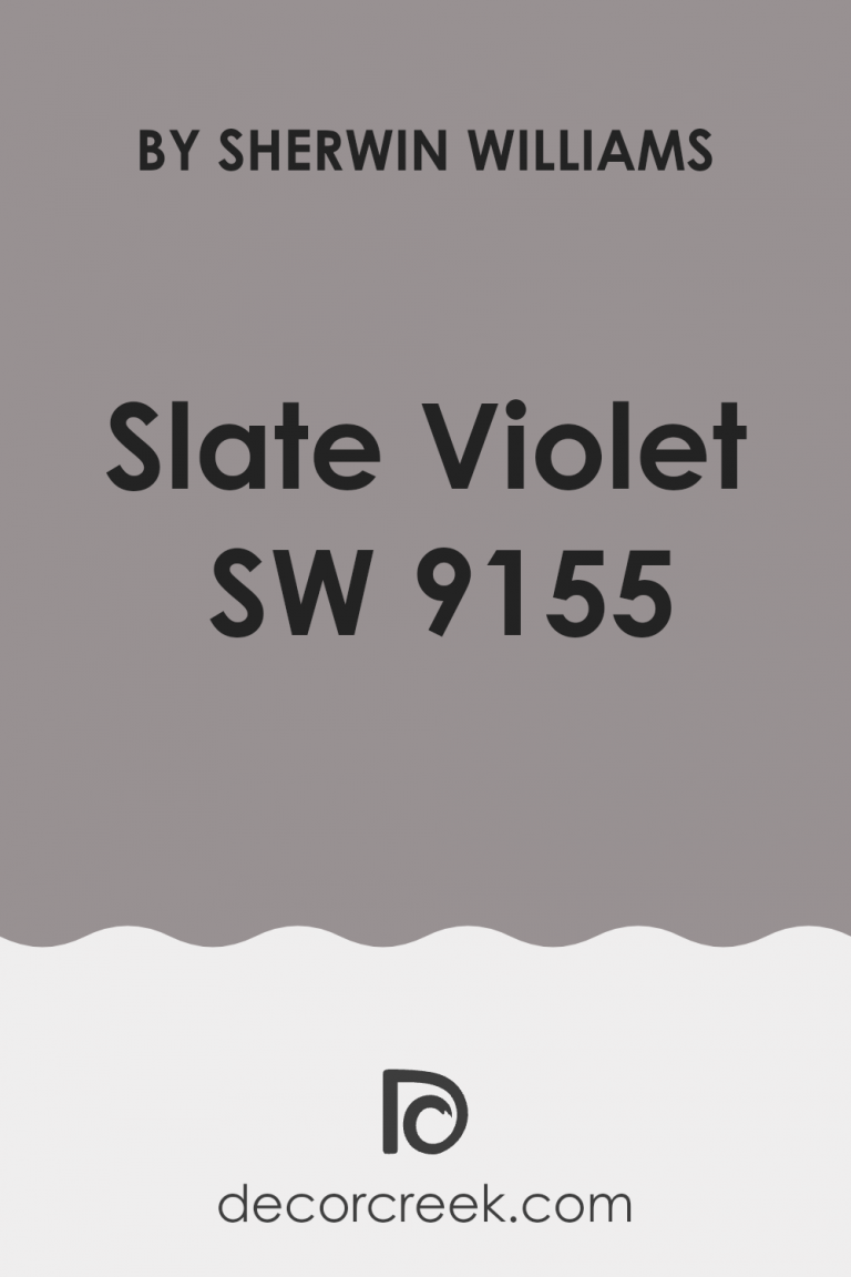 Slate Violet SW 9155 Paint Color by Sherwin Williams - DecorCreek