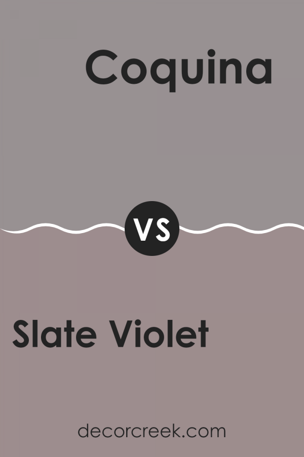 Slate Violet SW 9155 Paint Color by Sherwin Williams - DecorCreek