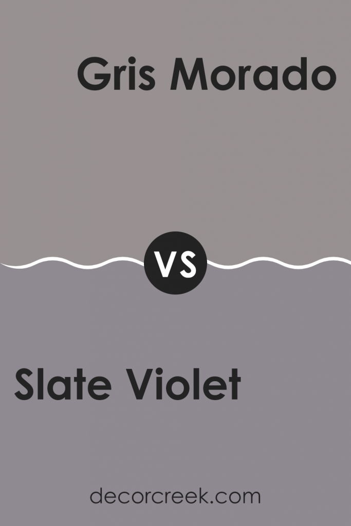 Slate Violet SW 9155 Paint Color by Sherwin Williams - DecorCreek