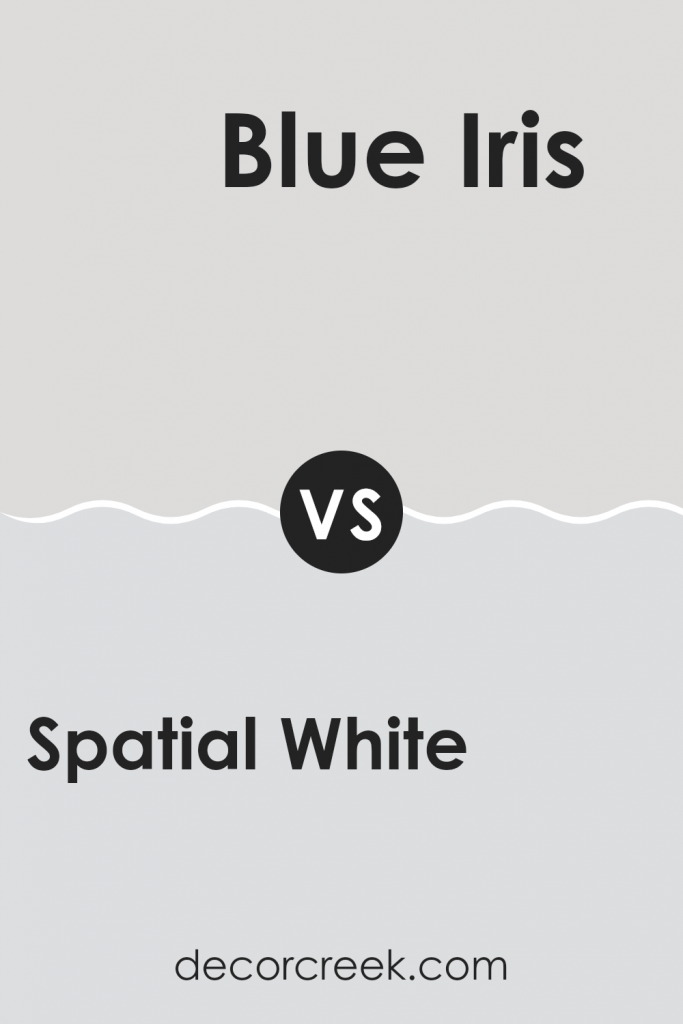 Spatial White SW 6259 Paint Color by Sherwin Williams - DecorCreek