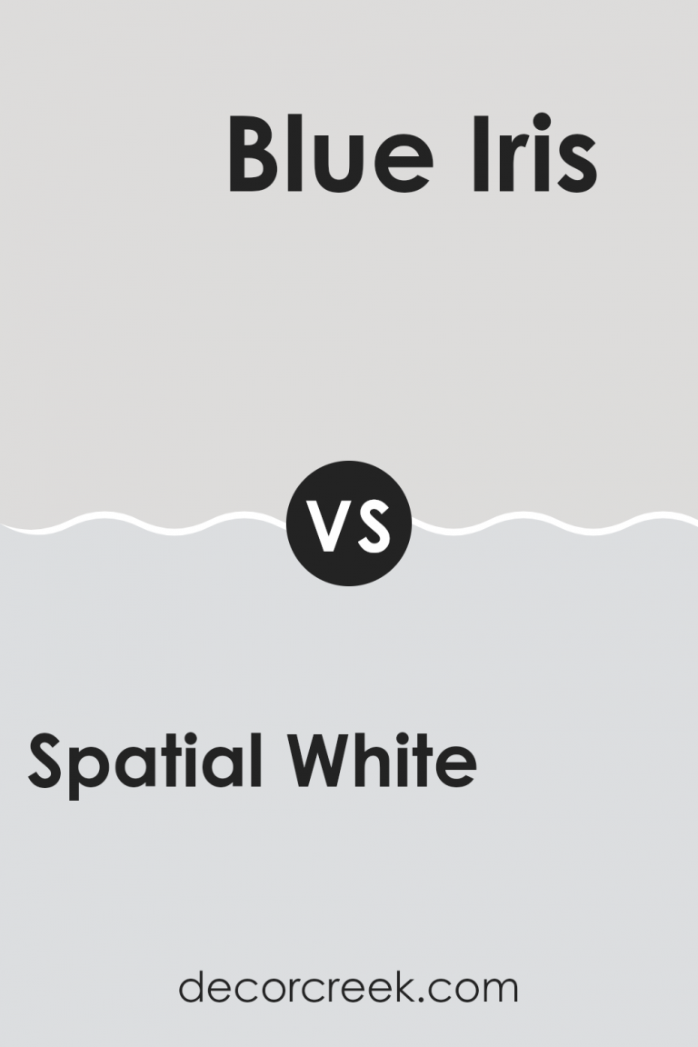 Spatial White SW 6259 Paint Color by Sherwin Williams - DecorCreek