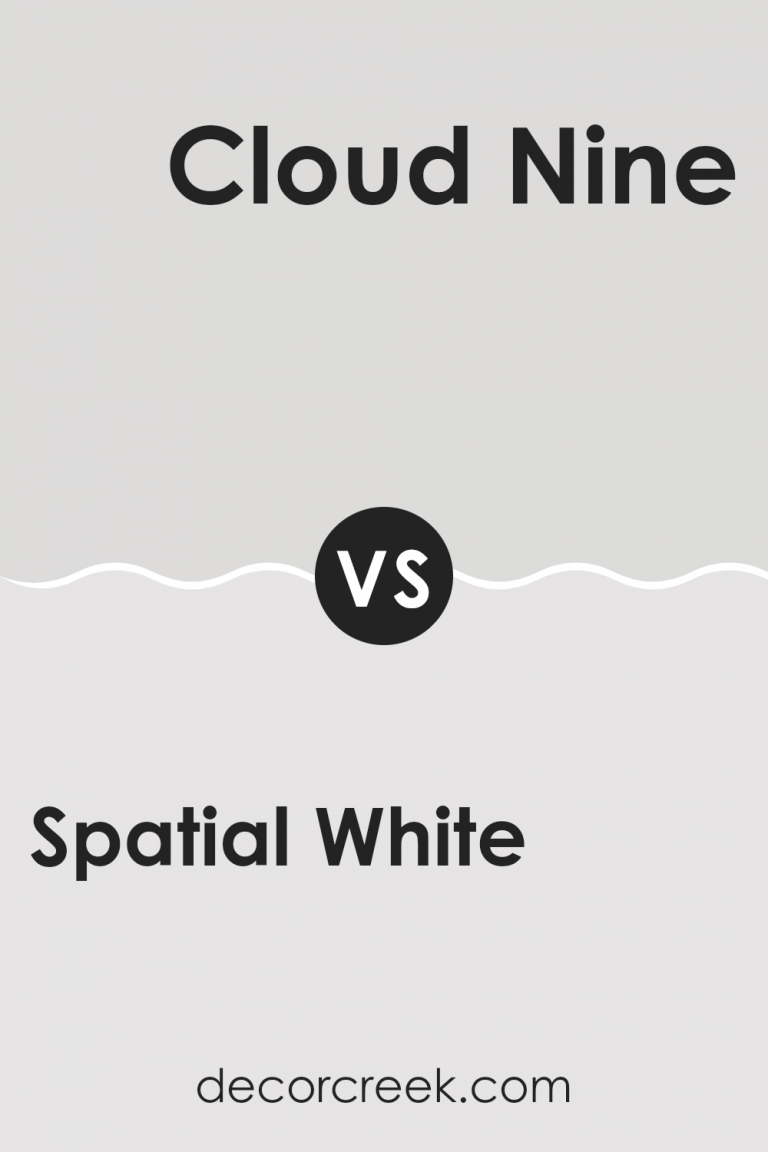 Spatial White SW 6259 Paint Color by Sherwin Williams - DecorCreek