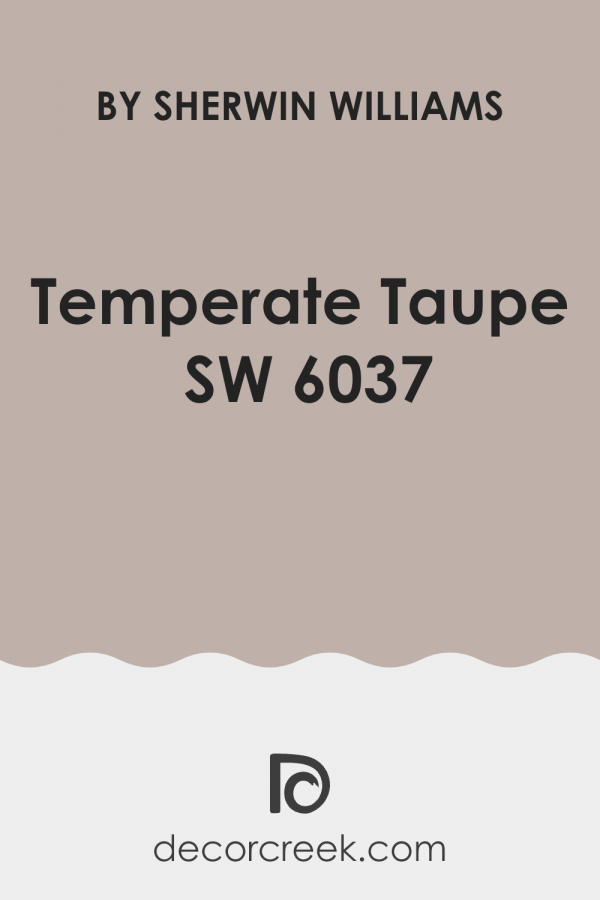 Temperate Taupe SW 6037 Paint Color by Sherwin Williams - DecorCreek