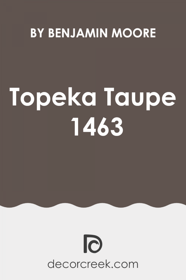 Topeka Taupe 1463 Paint Color by Benjamin Moore - DecorCreek