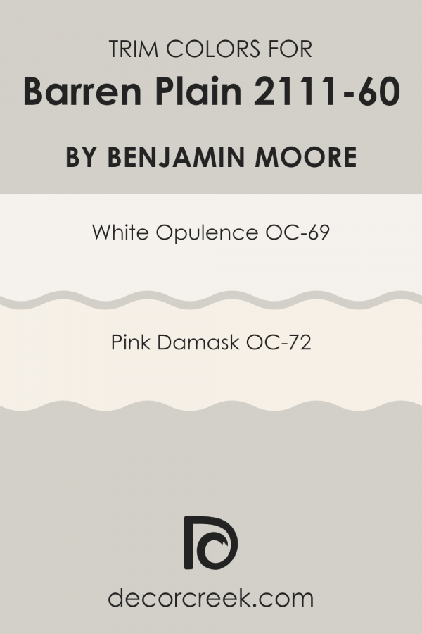 Barren Plain 2111-60 Paint Color by Benjamin Moore - DecorCreek